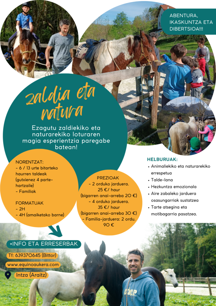 EQUINOAUKERA NATURALEZA y CABALLOS - Plazaola Turismo